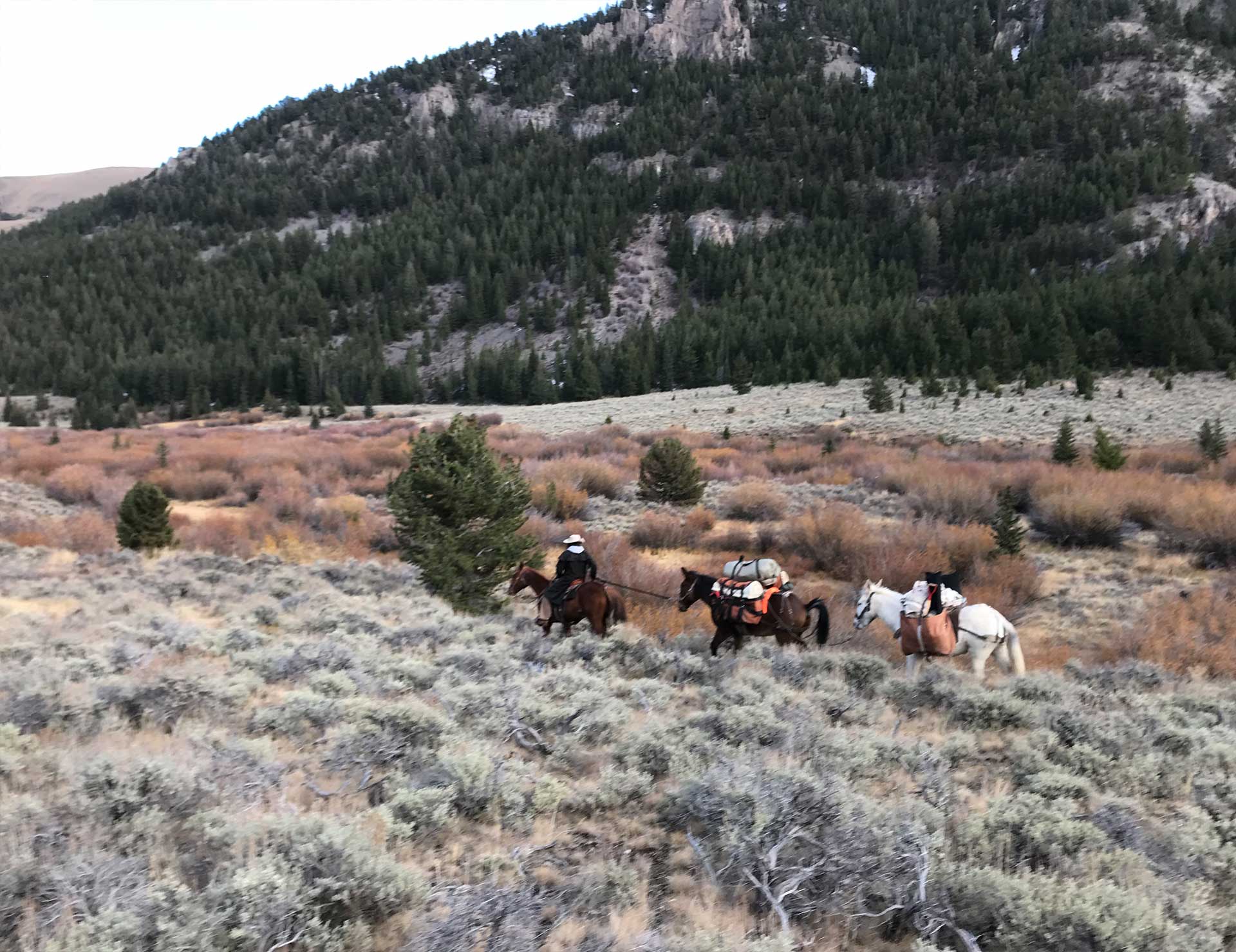 About Jackson Gunworks - Gun Dealer Near Me in East Tennessee